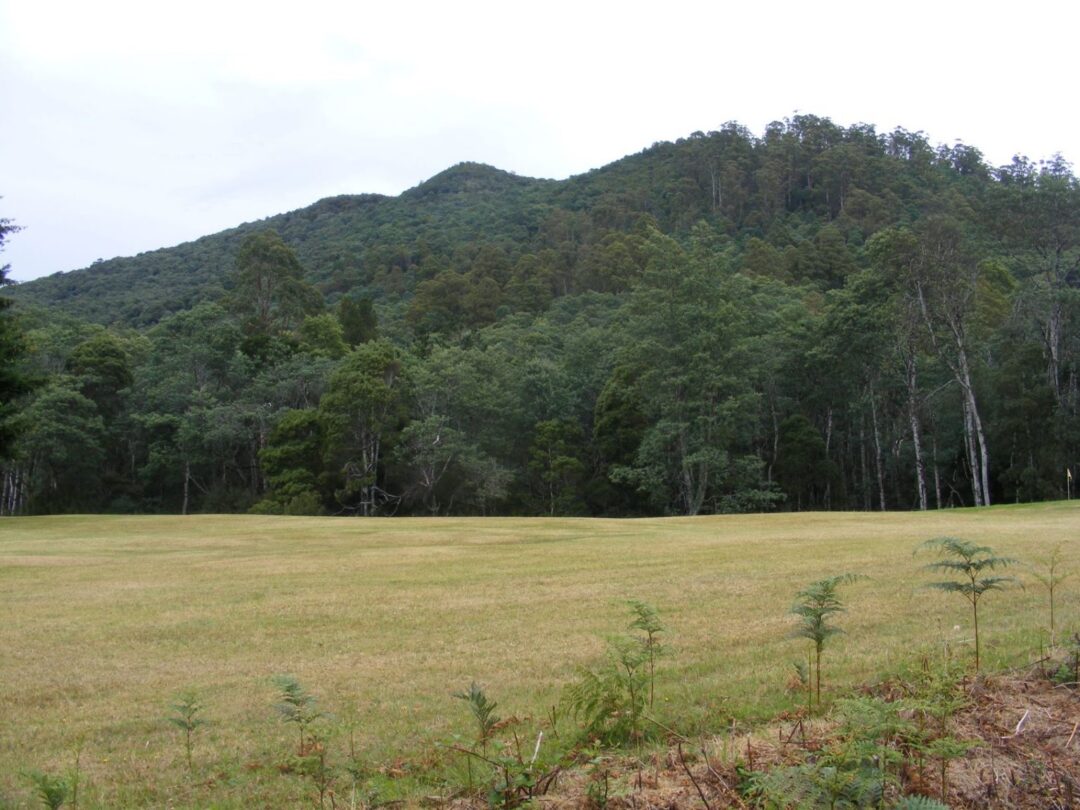 VH-GEO and Renison Bell | John Milsom